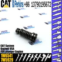 China Diesel Fuel Injection Pump Plunger 1w6541 4p9830 9n5797 6n7527 Plunger Barrel 7W5929 Element for CAT 3306 for sale