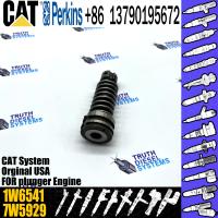 China Diesel Fuel Injection Pump Plunger 1w6541 4p9830 9n5797 6n7527 Plunger Barrel 7W5929 Element for CAT 3306 for sale