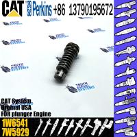 China Diesel Fuel Injection Pump Plunger 1w6541 4p9830 9n5797 6n7527 Plunger Barrel 7W5929 Element for CAT 3306 for sale