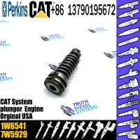 China Diesel Fuel Injection Pump Plunger 1w6541 4p9830 9h5797 6n7527 Plunger Barrel 7W5929 Element for CAT 3304 3306 Diesel En for sale