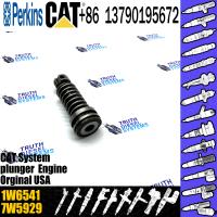 China Diesel Fuel Injection Pump Plunger 1w6541 4p9830 9h5797 6n7527 Plunger Barrel 7W5929 Element for CAT 3304 3306 Diesel En for sale