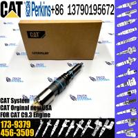 China Engine Fuel Injector Common Rail Diesel Fuel Injector 173-9379	456-3509 138-8756 456-3589 155-1819  324-5467 for sale