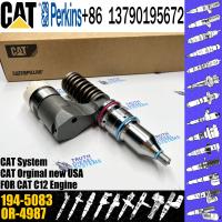 China Fuel Injector 194-5083 10R-0963 208-9160 10R-1264 1945083 10R0963 2089160 10R1264 for CAT Diesel Engine 3176 3196 C12 for sale