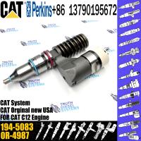 China C-A-T Diesel Engine 194-5083 10R-1264 10R-0967 212-3462 10R-0961 212-3469 203-3464 C10 C12 Injector for sale