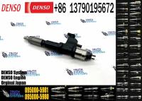 China Diesel Common Rail Injector 8-97603099-1 8976030991 0950005981 095000-5981 for sale
