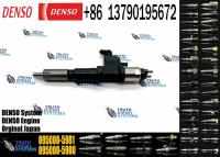 China Diesel Common Rail Injector 8-97603099-1 8976030991 0950005981 095000-5981 for sale