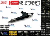 China Diesel Common Rail Injector 8-97603099-1 8976030991 0950005981 095000-5981 for sale