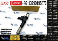 China High Quality Common Rail Injector 8-97603099-1 8976030991 0950005981 095000-5981 for sale