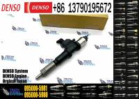China High Quality Common Rail Injector 8-97603099-1 8976030991 0950005981 095000-5981 for sale
