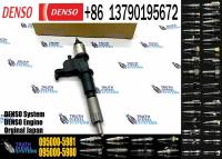 China High Quality Common Rail Injector 8-97603099-1 8976030991 0950005981 095000-5981 for sale