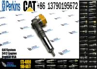 China Fuel Injector 173-4059  232-1170 171-9704 196-1401 222-5966 173-9268 198-7912 232-1168 156-3895 204-2467 for sale