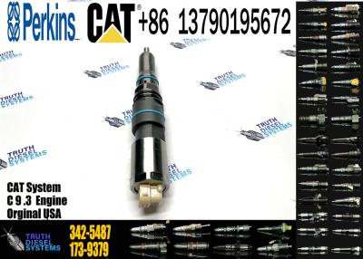 China Fuel Injector  342-5487 382-0709 392-9046 456-3509 456-3589 324-5467 364-8024 171-9704 for sale
