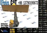 China Diesel injector  111-7916  232-1183 4CR01974 169-7408 222-5967 232-1170 171-9704 196-1401 for sale