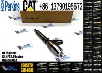 China High quality diesel Fuel Injector 2645A751  320-0690 320-0680 2645A709 295-9130 382-0480 282-0490 292-3780 for sale
