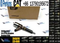 China fuel injector CAT 2645A749  282-0490 292-3780 306-9380 306-9390 310-9067 2645A751 320-0655 for sale