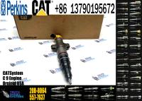 China Diesel Fuel Injector 20R-8064  245-3516 320-2940   328-2574   328-2576 258-8745 265-8106 267-3361 387-9435 for sale