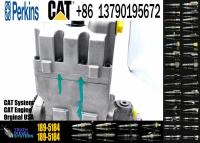 China Diesel Fuel Injection Pump 189-5184 254-4357 for CAT C7 C9 Excavator E330D E336D E340DL for sale