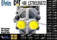 China Diesel Fuel Injection Pump 189-5184 254-4357 for CAT C7 C9 Excavator E330D E336D E340DL for sale