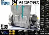 China Diesel Fuel Injection Pump 189-5184 254-4357 for CAT C7 C9 Excavator E330D E336D E340DL for sale