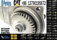 China Diesel Fuel Injection Pump 189-5184 254-4357 for CAT C7 C9 Excavator E330D E336D E340DL for sale