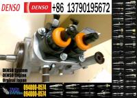 China PC40 PC50 Excavator Diesel Injection Nozzle 729929-51350 129927-51250 4TNV94L 4TNV94L-ZWWN Engine Fuel Injector Pump for sale