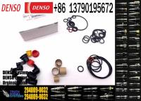 China HP3 Diesel Engine Parts Common Rail Fuel Injection Pump Overhaul Repair Kits 294009-0032 Gasket Kit For HP3 Feul Injector for sale