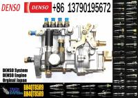 China High Quality Machinery Parts Fuel Pump For Diesel Engine Parts Fuel Injection Pump BH4QT85R9 For 4QT25 for sale