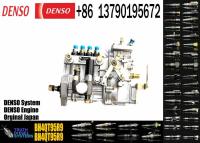 China Engine Parts Diesel Fuel Injection Pump BH4QT95R9 For YANGDONG 4Q689 / Y4105D Generator Set for sale