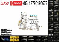 China Engine Parts Diesel Fuel Injection Pump BH4QT95R9 For YANGDONG 4Q689 / Y4105D Generator Set for sale