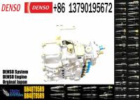 China Engine Parts Diesel Fuel Injection Pump BH4QT95R9 For YANGDONG 4Q689 / Y4105D Generator Set for sale