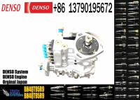 China Engine Parts Diesel Fuel Injection Pump BH4QT95R9 For YANGDONG 4Q689 / Y4105D Generator Set for sale