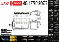China DIESEL ENGINE FUEL INJECTION PUMP BH6P110 5676 BH6P120 P10Z010 P10Z002 INJECTION PUMP FOR SDEC SC11CB184G2B1 for sale