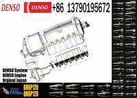 China DIESEL ENGINE FUEL INJECTION PUMP BH6P110 5676 BH6P120 P10Z010 P10Z002 INJECTION PUMP FOR SDEC SC11CB184G2B1 for sale