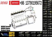 China DIESEL ENGINE FUEL INJECTION PUMP BH6P110 5676 BH6P120 P10Z010 P10Z002 INJECTION PUMP FOR SDEC SC11CB184G2B1 for sale