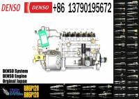 China DIESEL ENGINE FUEL INJECTION PUMP BH6P110 5676 BH6P120 P10Z010 P10Z002 INJECTION PUMP FOR SDEC SC11CB184G2B1 for sale