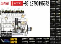 China DIESEL ENGINE FUEL INJECTION PUMP BH6P110 5676 BH6P120 P10Z010 P10Z002 INJECTION PUMP FOR SDEC SC11CB184G2B1 for sale