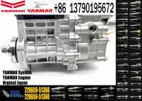 China Diesel Engine Parts Fuel Pump 4TNV88 Engine Fuel Injection Pump 729659-51360 for sale