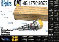 China New common rail injector10R-0782 178-0199 128-6601 178-6342 222-5966 135-5459 for diesel engine CAT for sale
