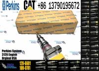China New common rail injector10R-0782 178-0199 128-6601 178-6342 222-5966 135-5459 for diesel engine CAT for sale