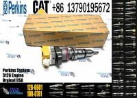 China New common rail injector10R-0782 178-0199 128-6601 178-6342 222-5966 135-5459 for diesel engine CAT for sale