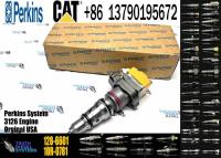 China New common rail injector10R-0782 178-0199 128-6601 178-6342 222-5966 135-5459 for diesel engine CAT for sale
