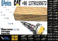 China New common rail injector10R-0782 178-0199 128-6601 178-6342 222-5966 135-5459 for diesel engine CAT for sale