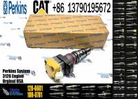 China New common rail injector10R-0782 178-0199 128-6601 178-6342 222-5966 135-5459 for diesel engine CAT for sale