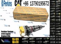 China Excavator Injector 1731012 169-7408 1697408 155-1819 1551819 118-1328 118-1320 for 3126 Engine Parts Diesel Nozzle Assem for sale