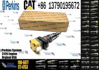 China 198-6877 204-2467 232-1170 232-1175 3412E Engine Diesel Fuel Injector 174-7526 174-7527 for sale