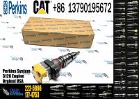 China Excavator Engine parts Fule Injetor 196-1401 10R-1265 222-5966 173-9379 173-9268 138-8756 for 3412E 3408 Fuel Injector for sale