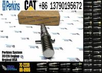 China Excavator Parts 3512A Engine Injector 7C-4175 7C-2239 OR-3051 7C-4174 7E-9983 7E-3384fuel injector For Excavator for sale
