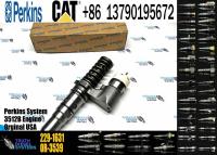 China New common rail injector 229-1631 437-7547 245-8272 8E-8836 246-1854 392-0203 for diesel engine CAT for sale