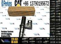 China New common rail injector 229-1631 437-7547 245-8272 8E-8836 246-1854 392-0203 for diesel engine CAT for sale
