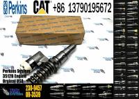 China New common rail injector 230-9457 249-0746 386-1769 392-0200 392-0201 392-0202 for diesel engine CAT for sale